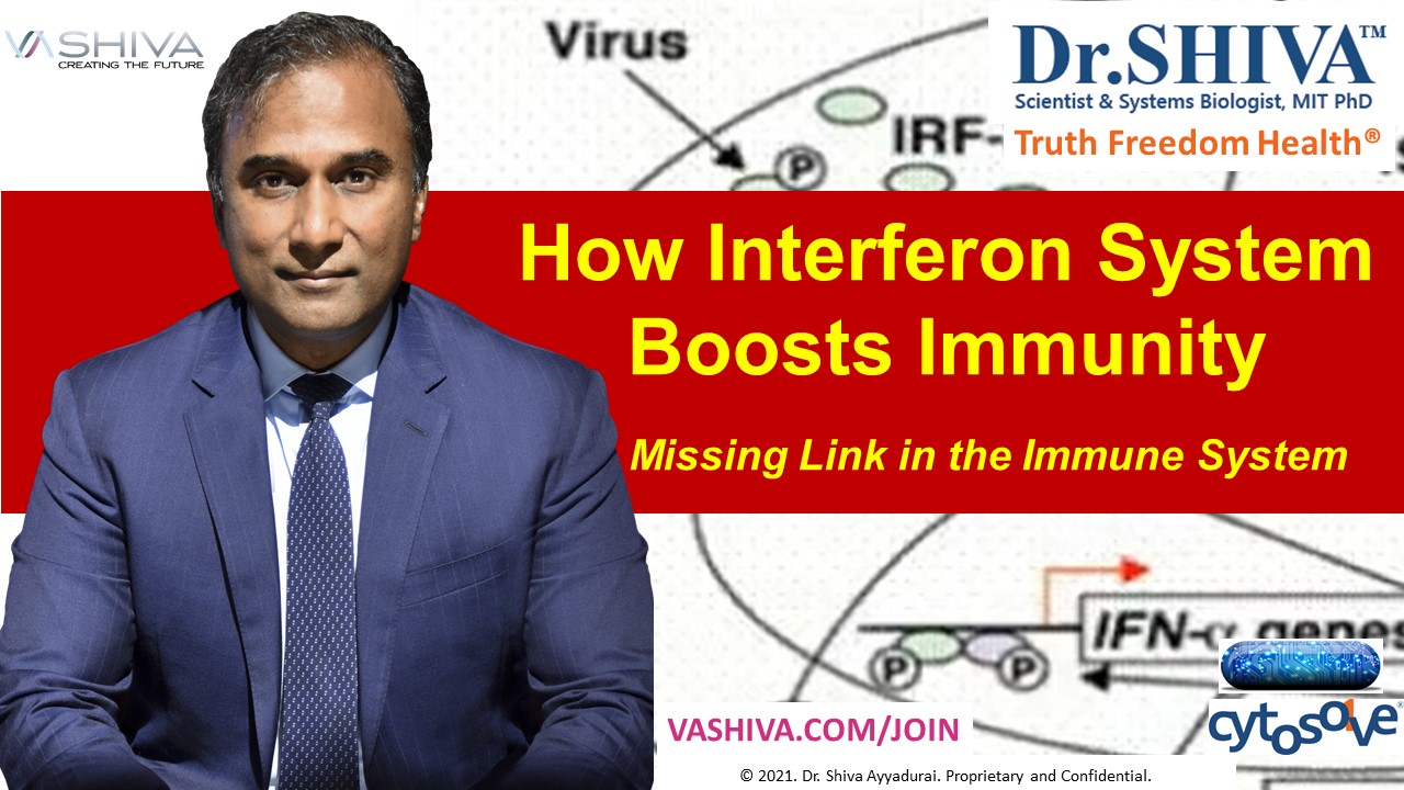 How the Interferon System Boosts Immunity