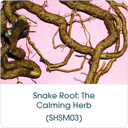 Snake Root: The Calming Herb - VASHIVA
