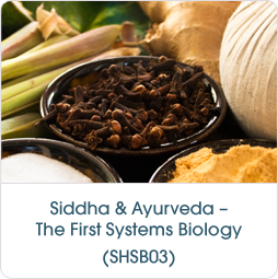 Siddha and Ayurveda – The First Systems Biology - VASHIVA